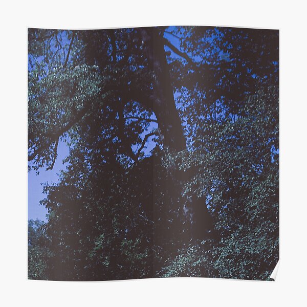 "vintage aesthetic dazecore aesthetic photography 1:1" Poster for Sale ...