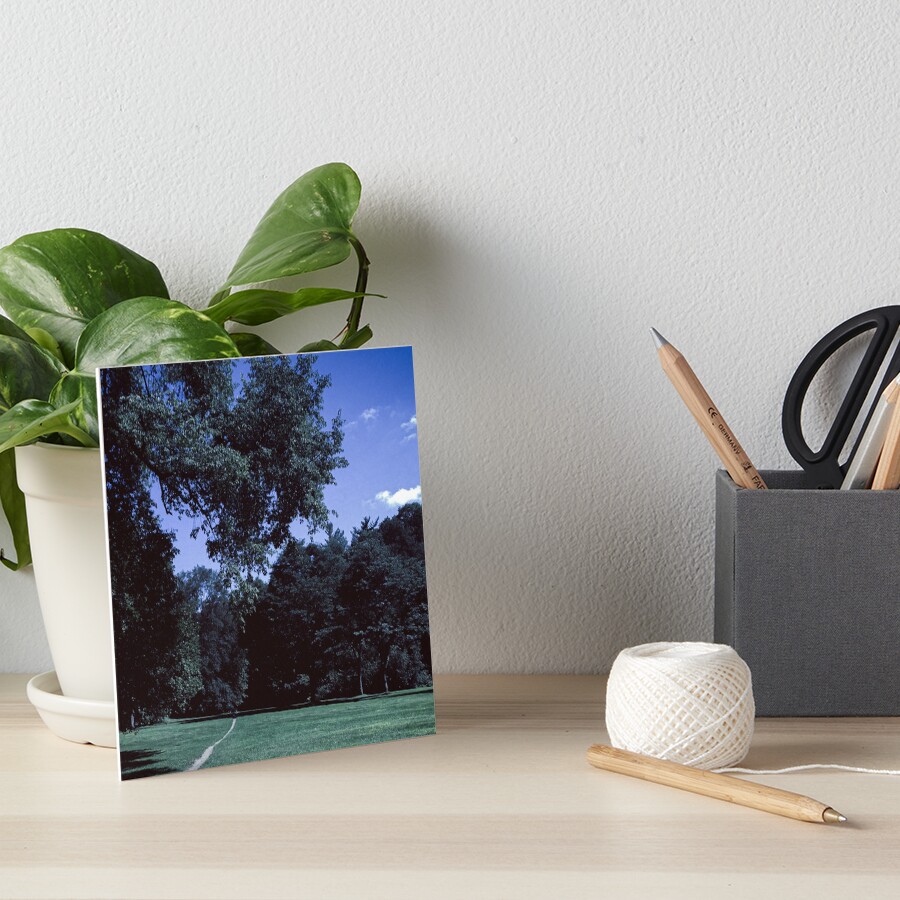 "dazecore aesthetic square frame " Art Board Print for Sale by sielexis ...