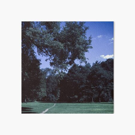 "dazecore aesthetic square frame " Art Board Print for Sale by sielexis ...