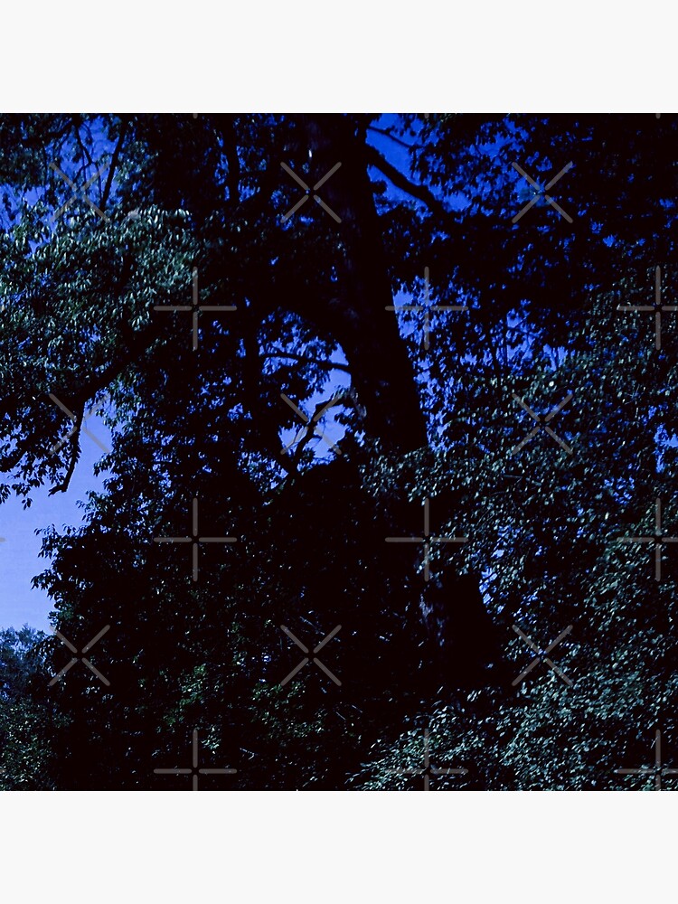 "dazecore aesthetic blue sky dark" Poster for Sale by sielexis | Redbubble
