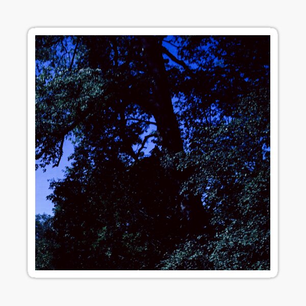 "dazecore aesthetic blue sky dark" Sticker by sielexis | Redbubble
