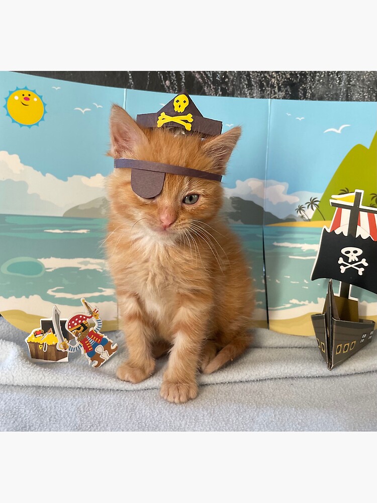 "Yarr" Poster for Sale by tcjfosters | Redbubble