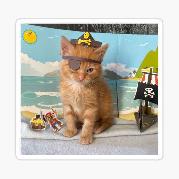 "Yarr" Sticker for Sale by tcjfosters | Redbubble