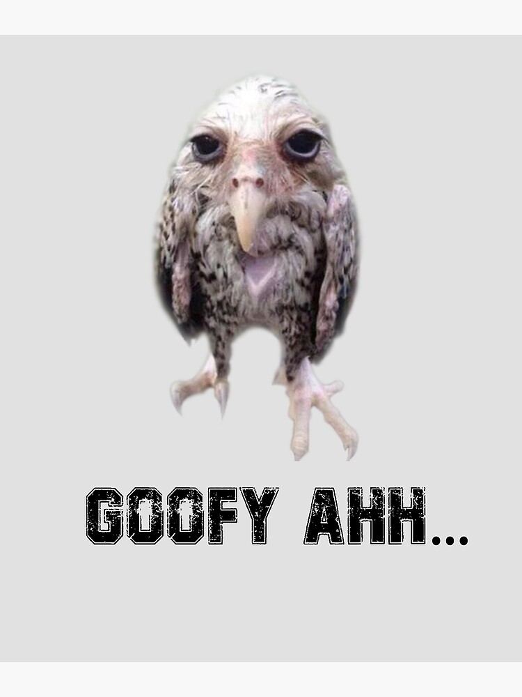 "Goofy Ahh Funny Meme with Goofy Ahh Bird" Poster for Sale by ...