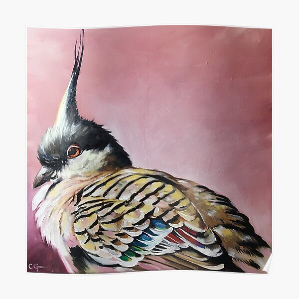 "Drawing red-whiskered bulbul painting" Poster for Sale by anrissis ...