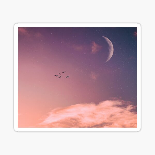 "Birds flying high" Sticker for Sale by Lotofus | Redbubble