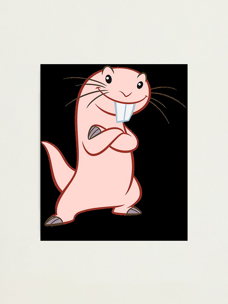 "Kim Possible Kim Possible Rufus Kim Possible" Photographic Print for ...