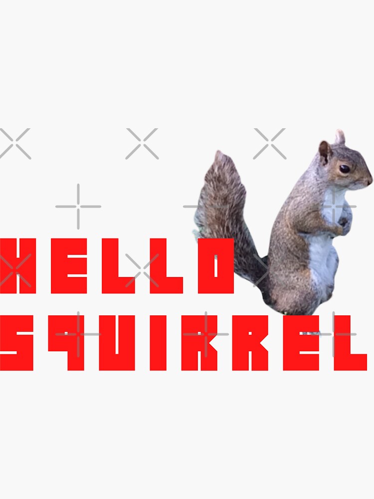 "Hello Squirrel" Sticker for Sale by boomantique | Redbubble
