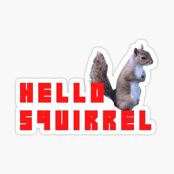 "Hello Squirrel" Sticker for Sale by boomantique | Redbubble