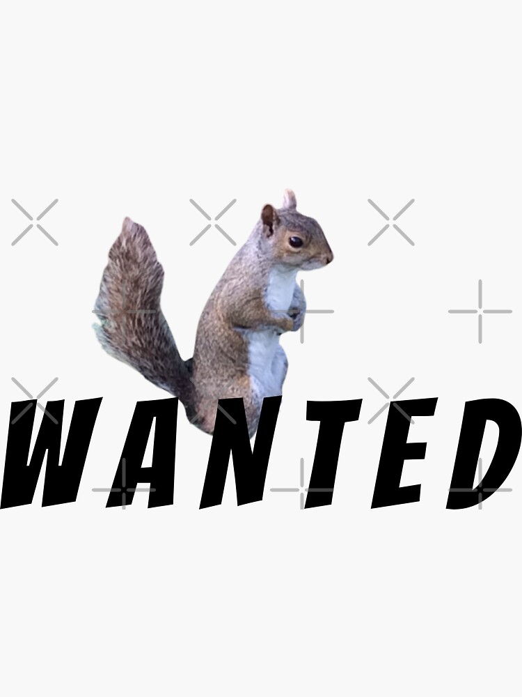 "Wanted Squirrel" Sticker for Sale by boomantique | Redbubble