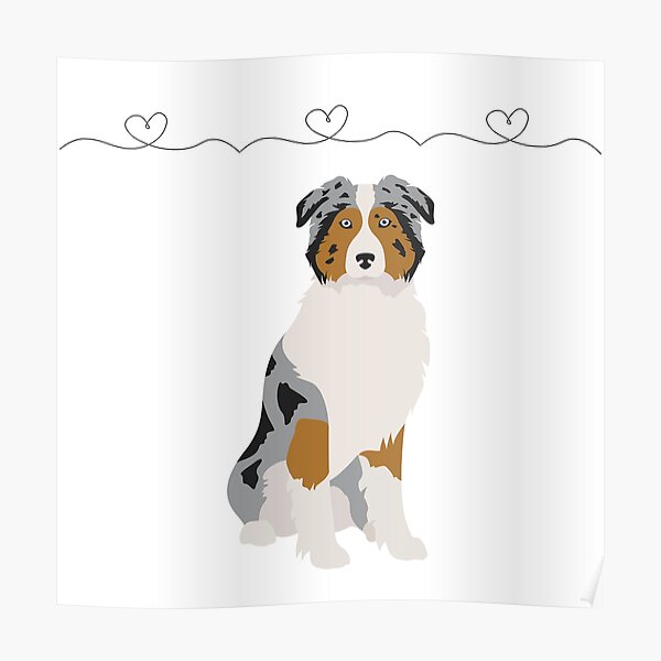 "Australian shepherd" Poster for Sale by Mtaito | Redbubble