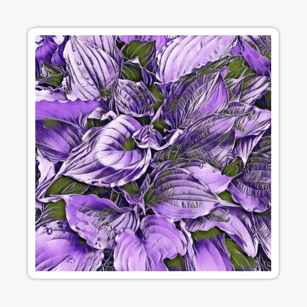 "Hosta in Storybook Purple" Sticker for Sale by SunshineWalker | Redbubble