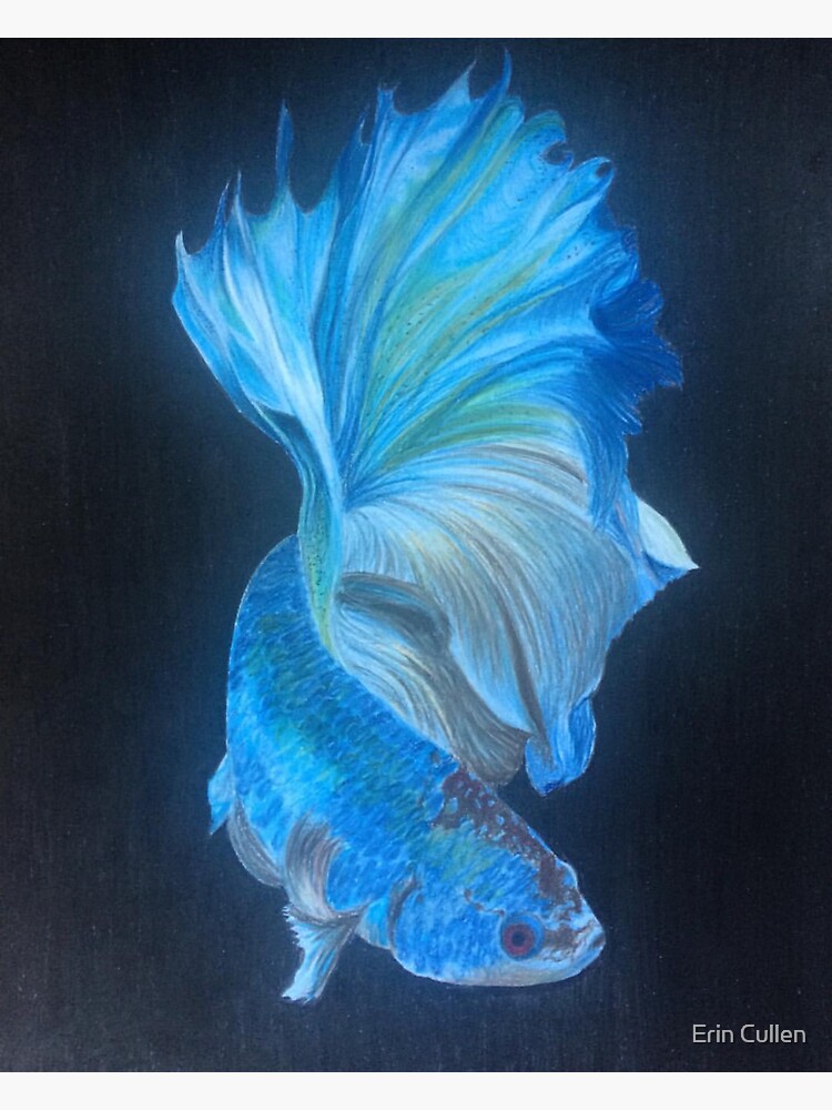 "Blue Beta" Sticker by erincullen | Redbubble