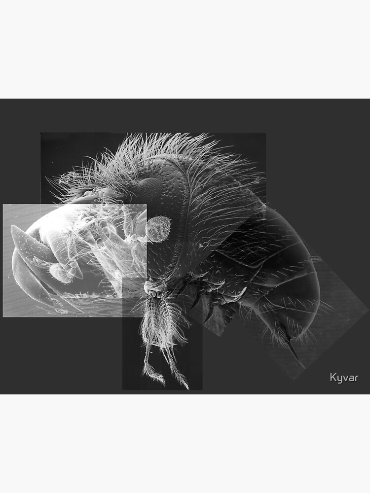 "Insectoid Chimera 3" Sticker for Sale by Kyvar | Redbubble