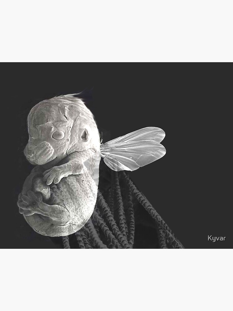 "Insectoid Chimera 4" Sticker for Sale by Kyvar | Redbubble