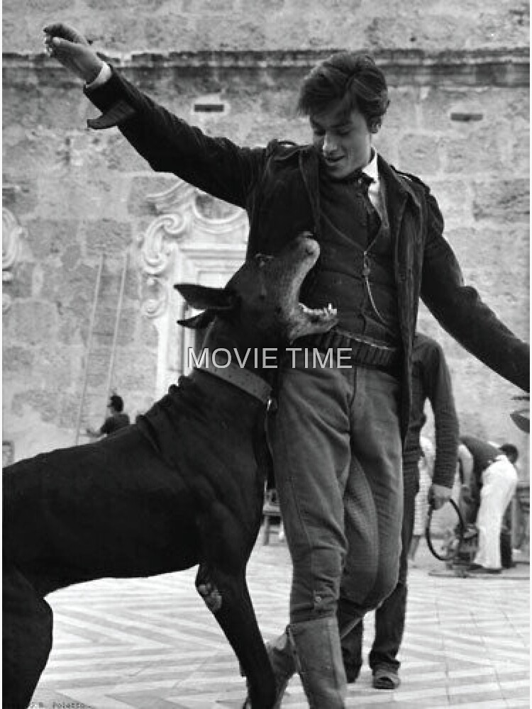 "Alain Delon" Sticker for Sale by ninazakri | Redbubble