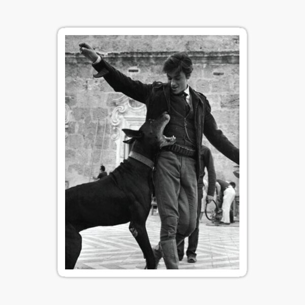 "Alain Delon" Sticker for Sale by ninazakri | Redbubble