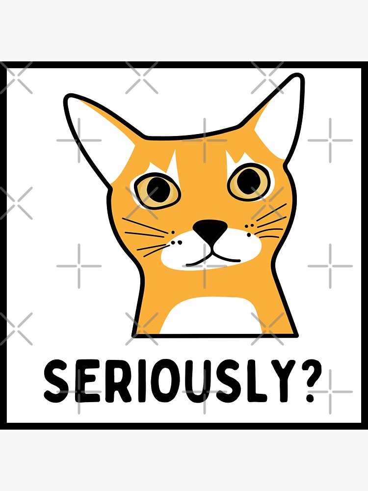 "Seriously Face Cat - Seriously? Funny And Sarcastic" Sticker for Sale ...