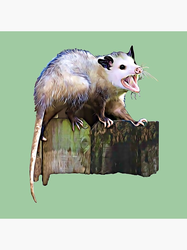 "Screaming Possum" Poster for Sale by InspireMoment | Redbubble