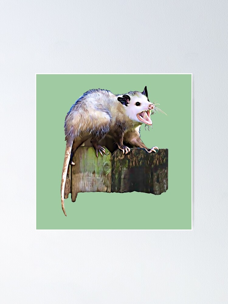 "Screaming Possum" Poster for Sale by InspireMoment | Redbubble