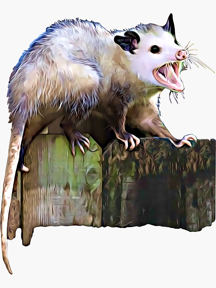 "Screaming Possum" Sticker for Sale by InspireMoment | Redbubble