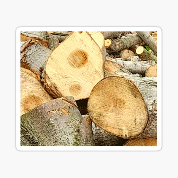 "Stump - Freedom" Sticker for Sale by TeamJoks | Redbubble