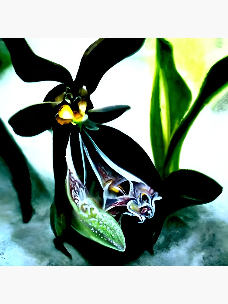 "Surreal bat orchid" Poster for Sale by Liminal-Breath | Redbubble