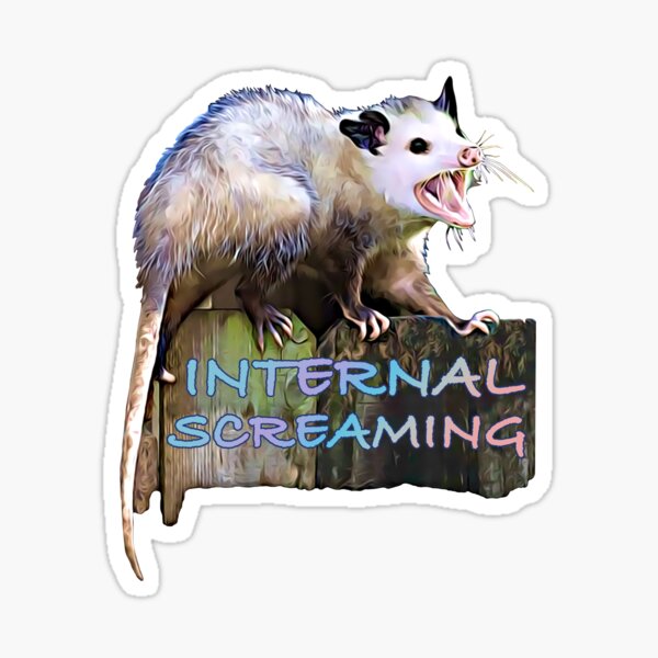 "Internal Screaming Possum" Sticker for Sale by InspireMoment | Redbubble