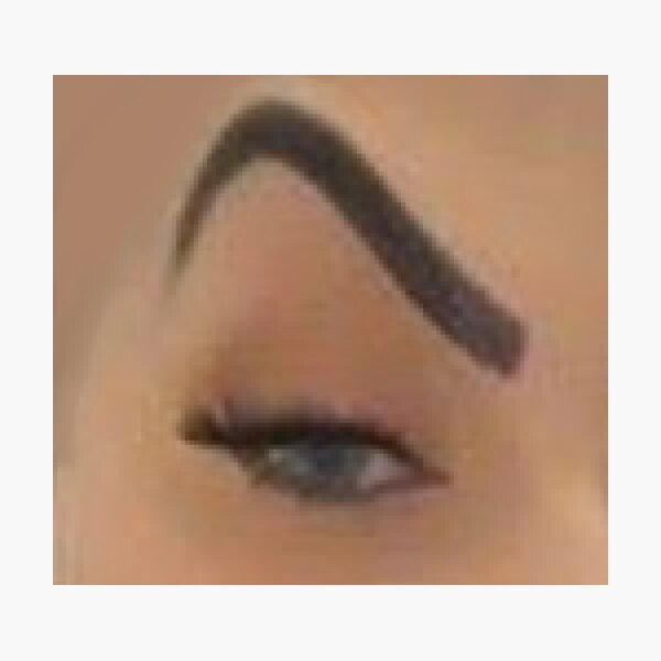 "Raised eye meme" Photographic Print for Sale by Drew-tipsy | Redbubble