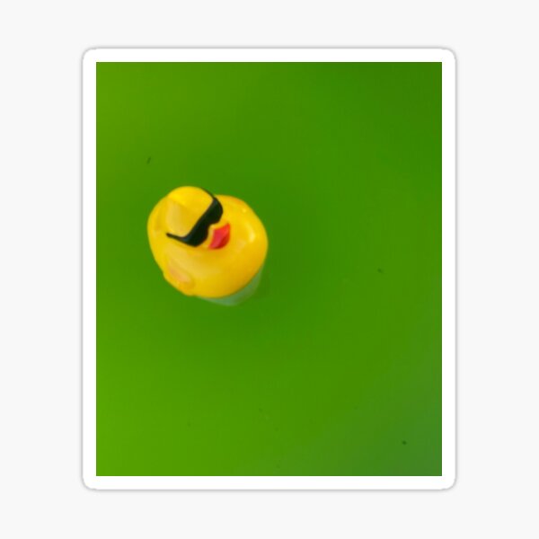 "Rubber Ducky Pool Time" Sticker for Sale by SeenSegal | Redbubble