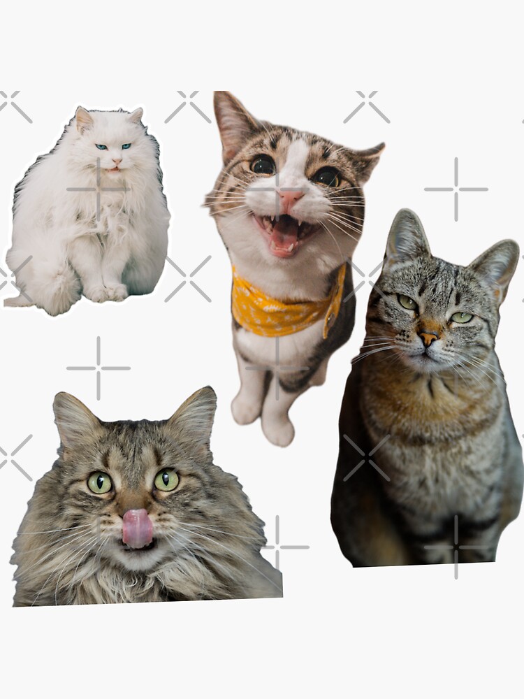 "Cute and funny cats stickers pack" Sticker for Sale by MYTEES12 ...