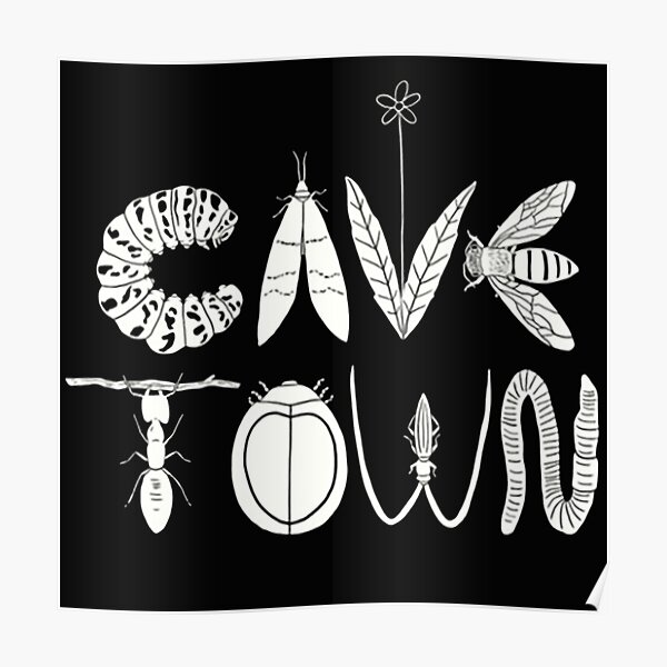 "Cavetown" Poster for Sale by lauragreggs | Redbubble