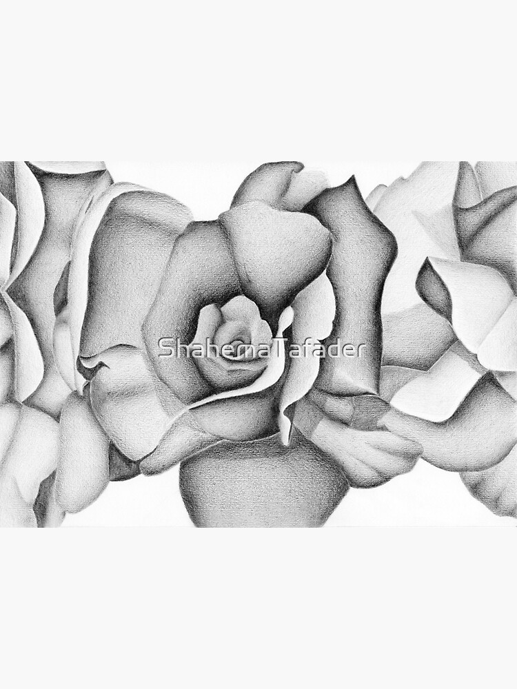 "The First Flower (Tonal Drawing)" Sticker for Sale by ShahemaTafader ...