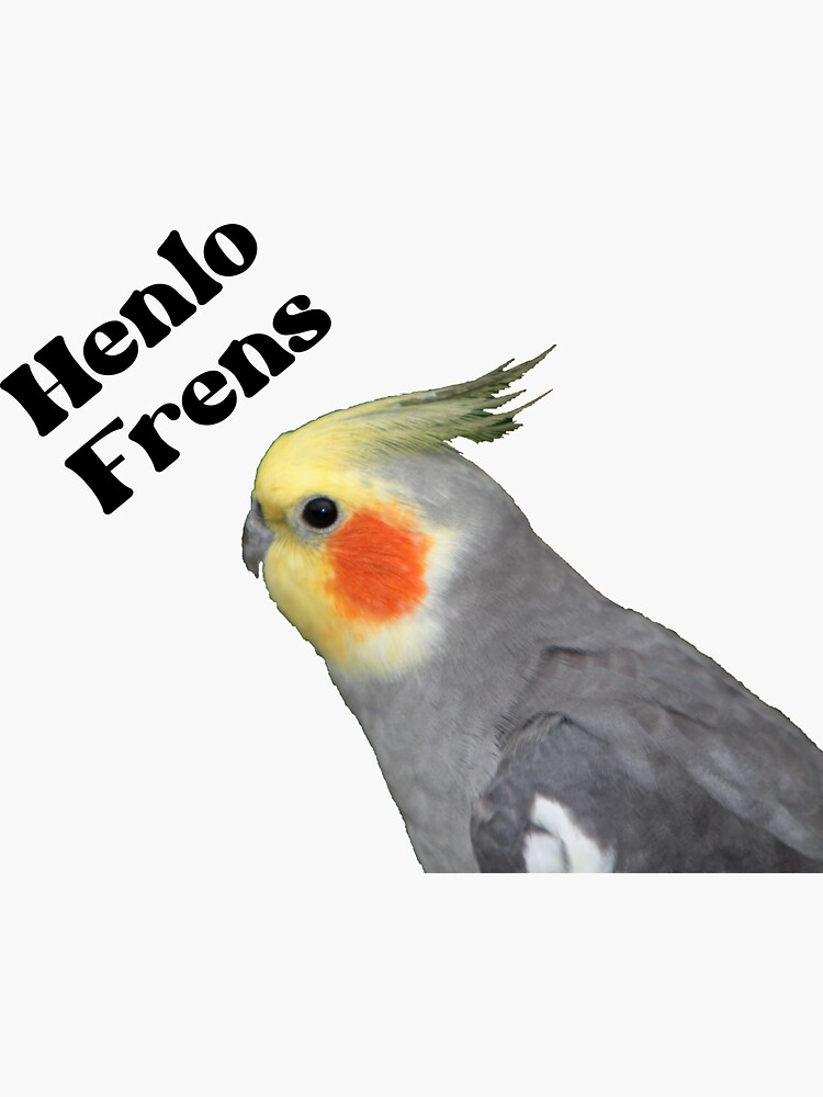 "Henlo Frens - Cute Cockatiel" Sticker for Sale by BigNige1234 | Redbubble