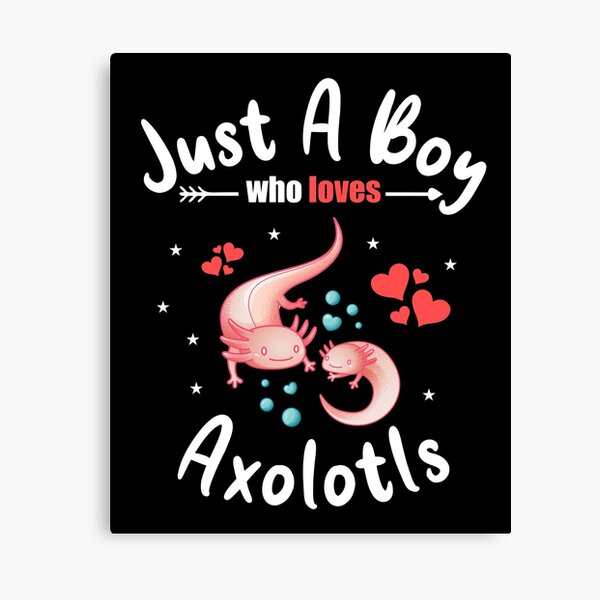 "Just A Boy Who Loves Axolotls, Mexican Walking Fish, Squishable ...