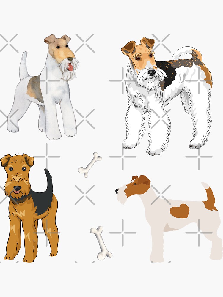 "Four Colored Fox Terrier Figures, Funny Fox Terrier Sticker" Sticker ...