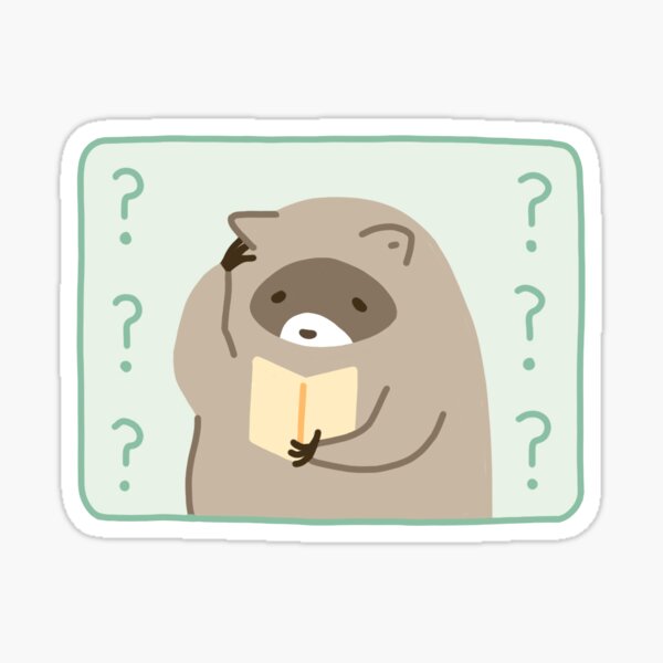 "Confused raccoon" Sticker for Sale by priscilaqiu | Redbubble