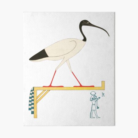 "Ibis Illustration & Thoth Hieroglyphic" Art Board Print by PanosTsalig ...