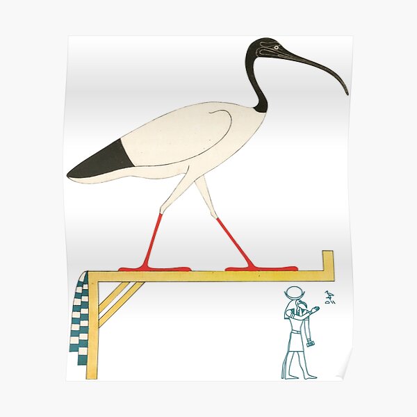 "Ibis Illustration & Thoth Hieroglyphic" Poster for Sale by PanosTsalig ...