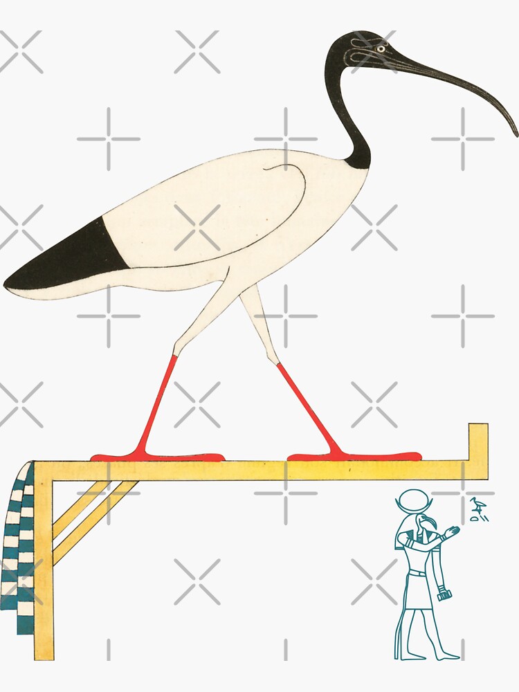 "Ibis Illustration & Thoth Hieroglyphic" Sticker for Sale by ...