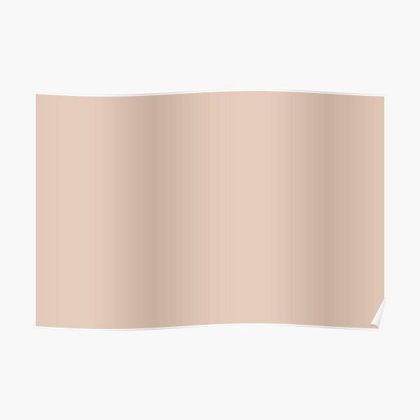 "Pale Peachy Pink-Orange Solid Color Pairs PPG 2023 Trending Color ...