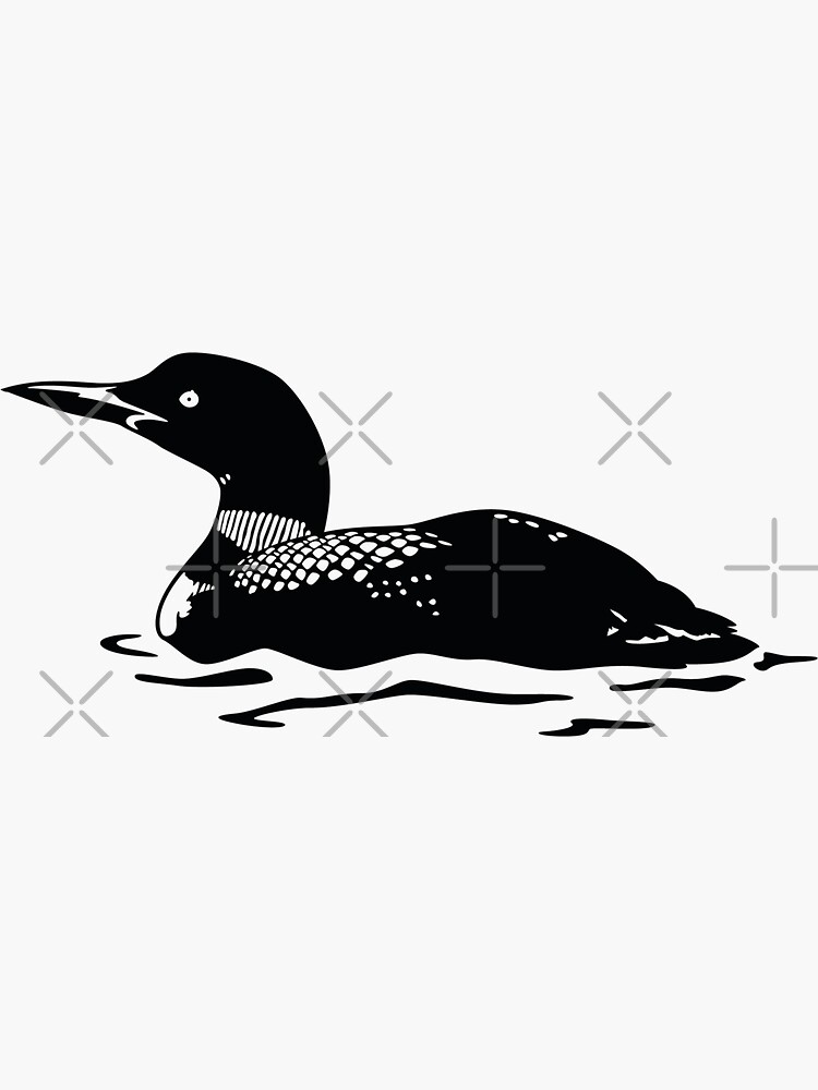 "Common Loon" Sticker for Sale by art-master1 | Redbubble