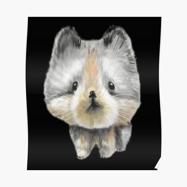 "Ili pika | Ochotona iliensis , Endangered animal" Poster for Sale by ...