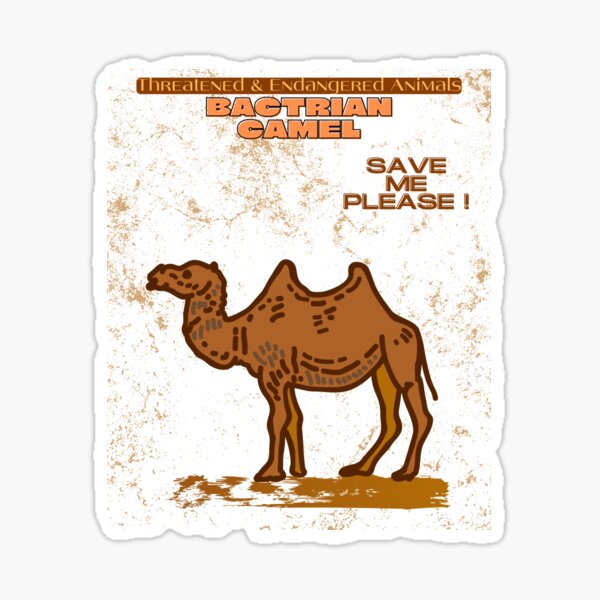 " Bactrian Camel" Sticker by yassooarts | Redbubble