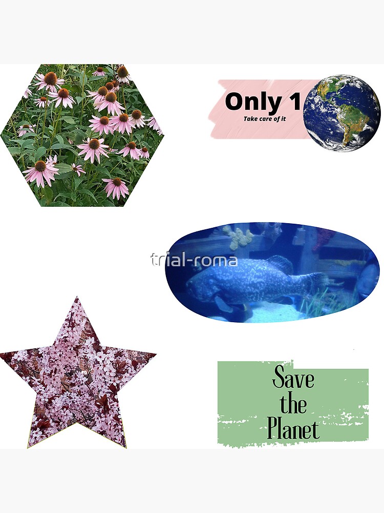 "Only one earth save, the planet" Poster for Sale by trial-roma | Redbubble