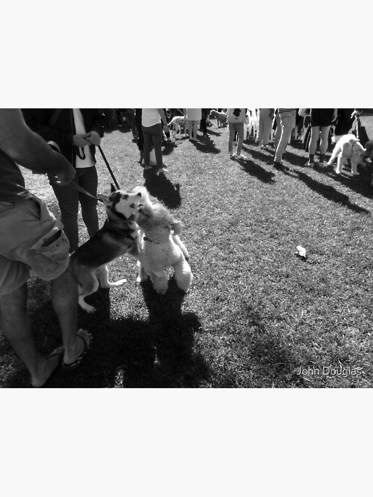 "Kings Cross Dog Show" Poster by JohnDouglas | Redbubble