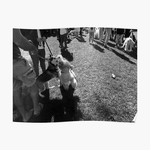 "Kings Cross Dog Show" Poster by JohnDouglas | Redbubble