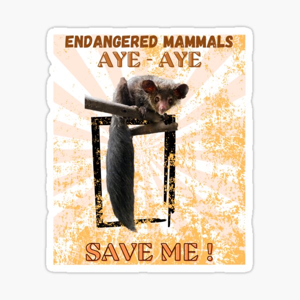" Aye-Aye" Sticker by yassooarts | Redbubble