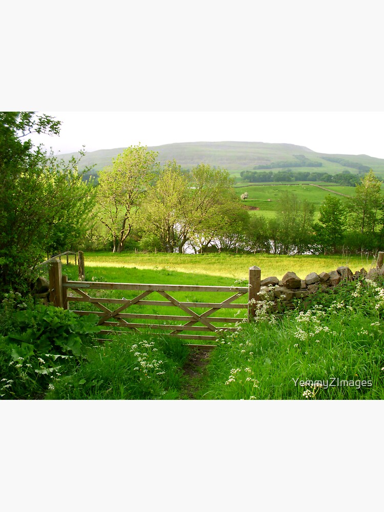 "Yorkshire Dales Pastoral Peace - English Countryside Photographs ...