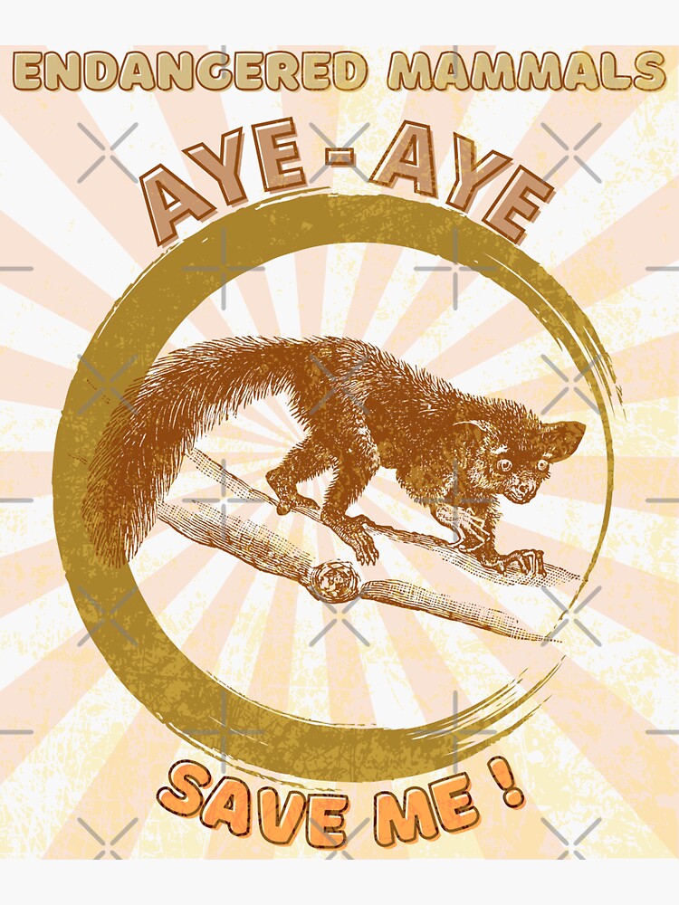 " Aye-Aye" Sticker for Sale by yassooarts | Redbubble